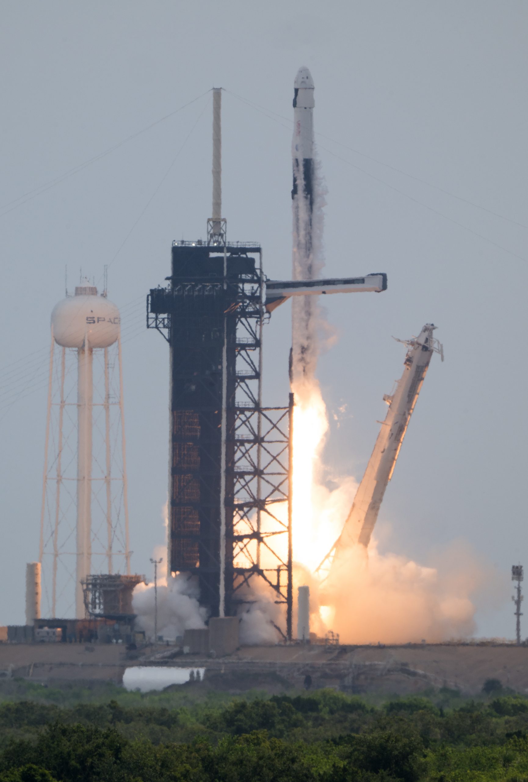SpaceX vuelve a hacer historia: lanzamiento exitoso de la Crew Dragon ...