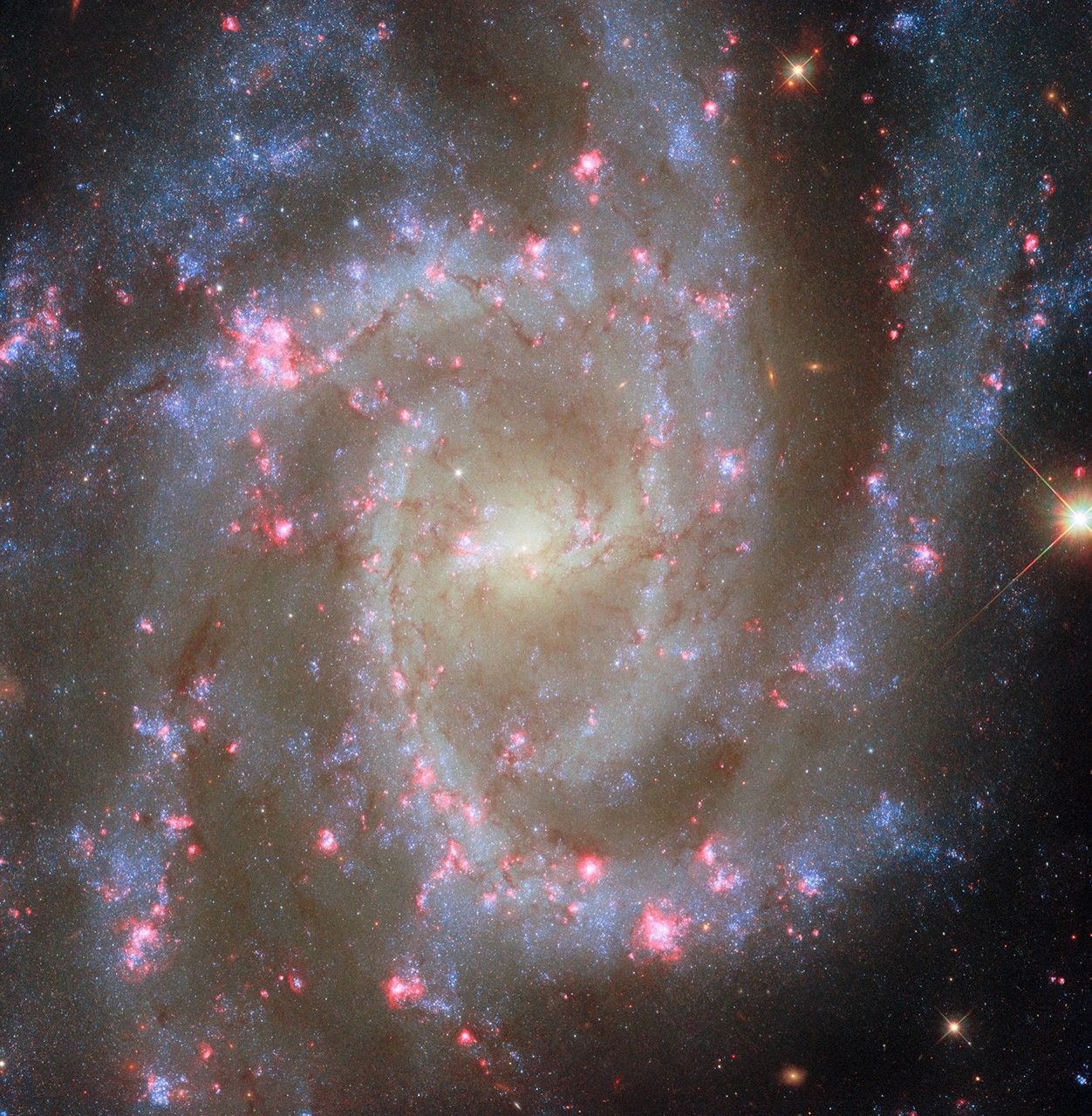 La galaxia espiral NGC 2835 desvela sus secretos en una nueva imagen de Hubble - Space39a